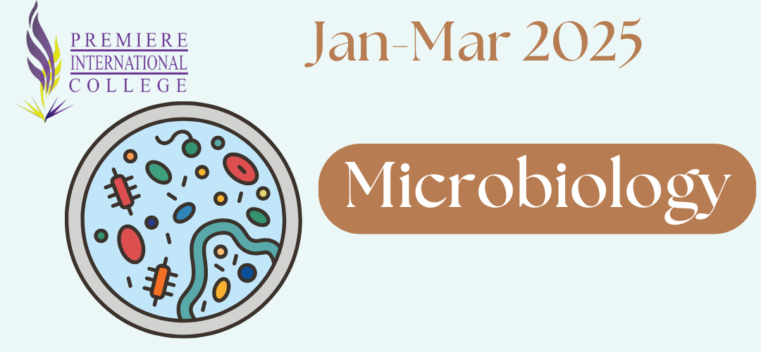 PICollege LMS: Course categories