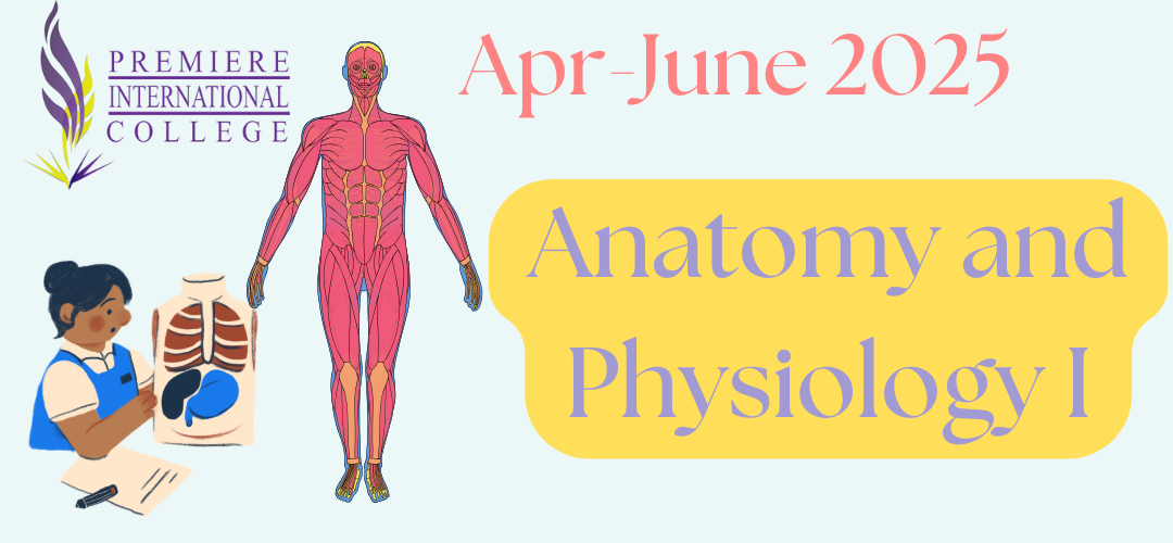 PICollege LMS: All courses