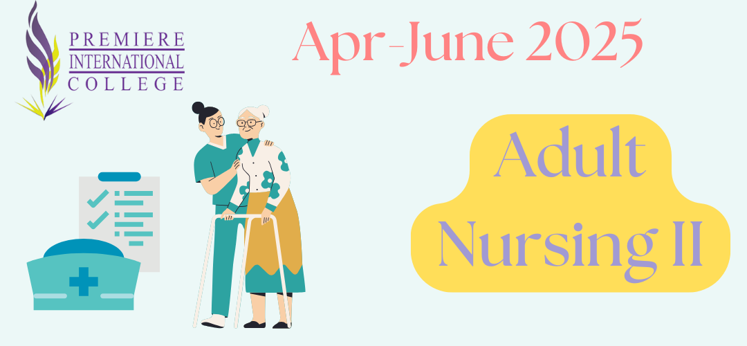 PICollege LMS: All courses