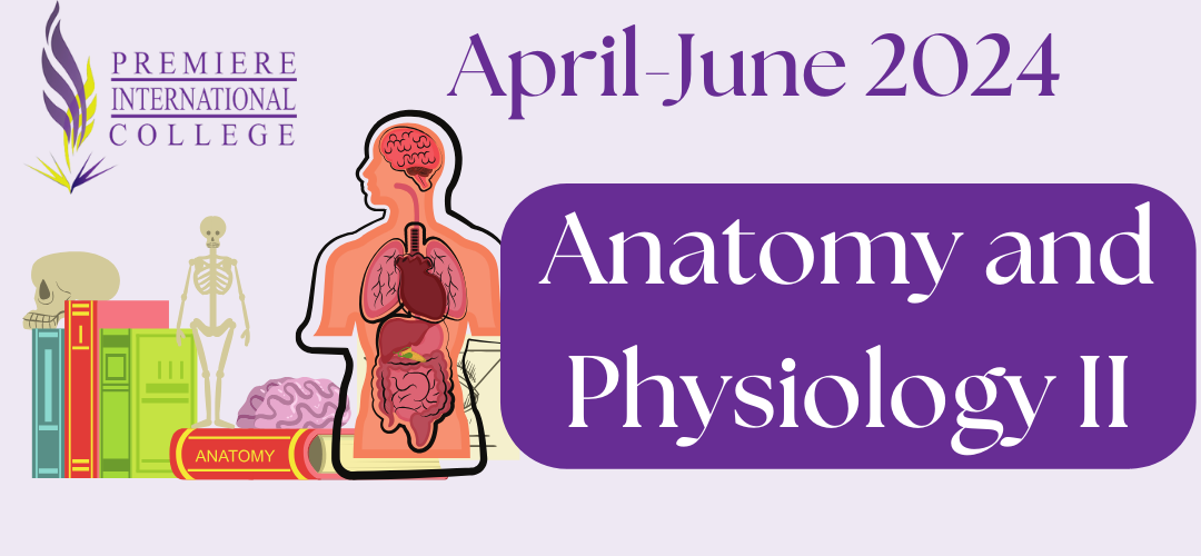 PICollege LMS: Course categories